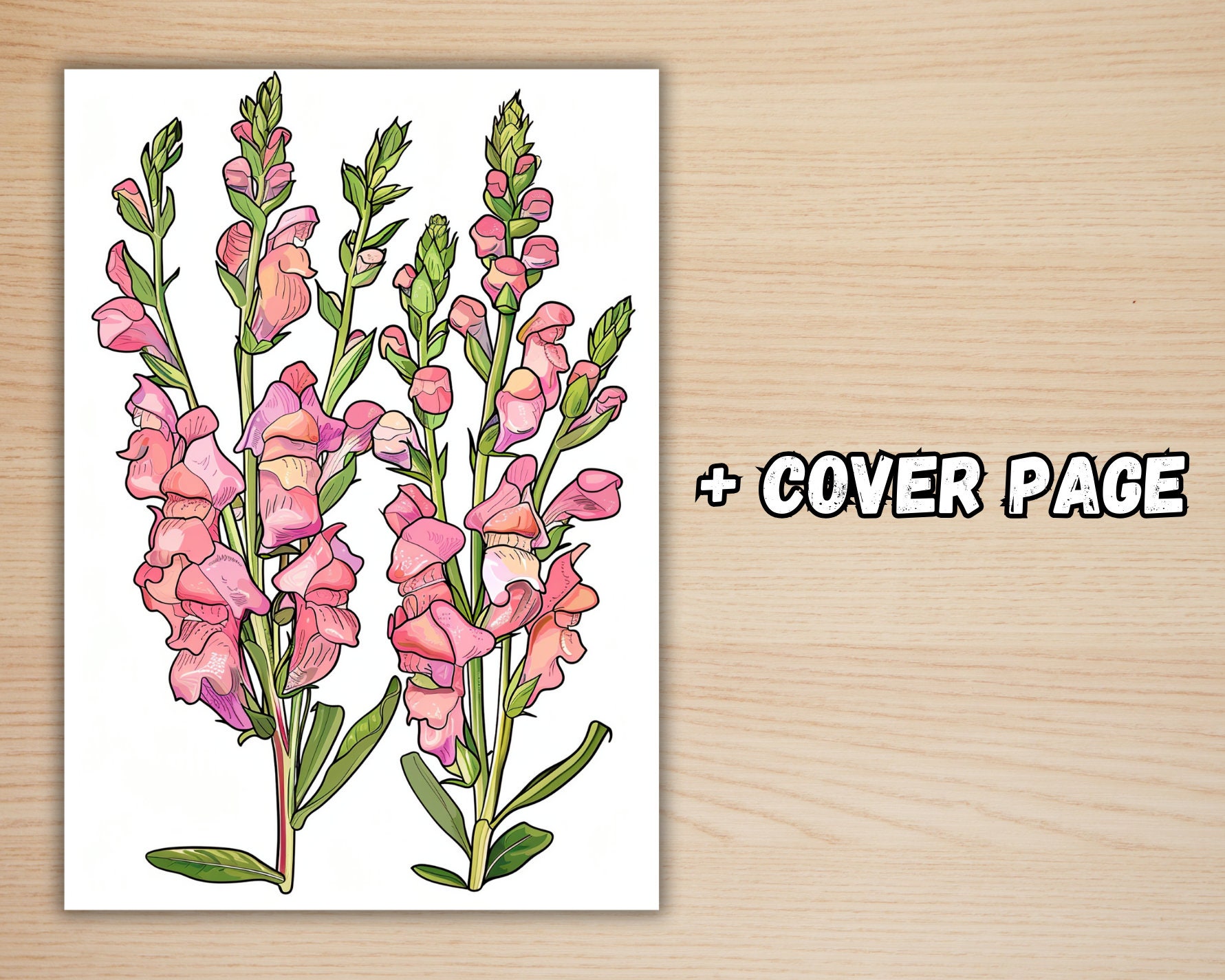20 Beautiful Snapdragon Fower Coloring Pages Made for Kids and Adults ...