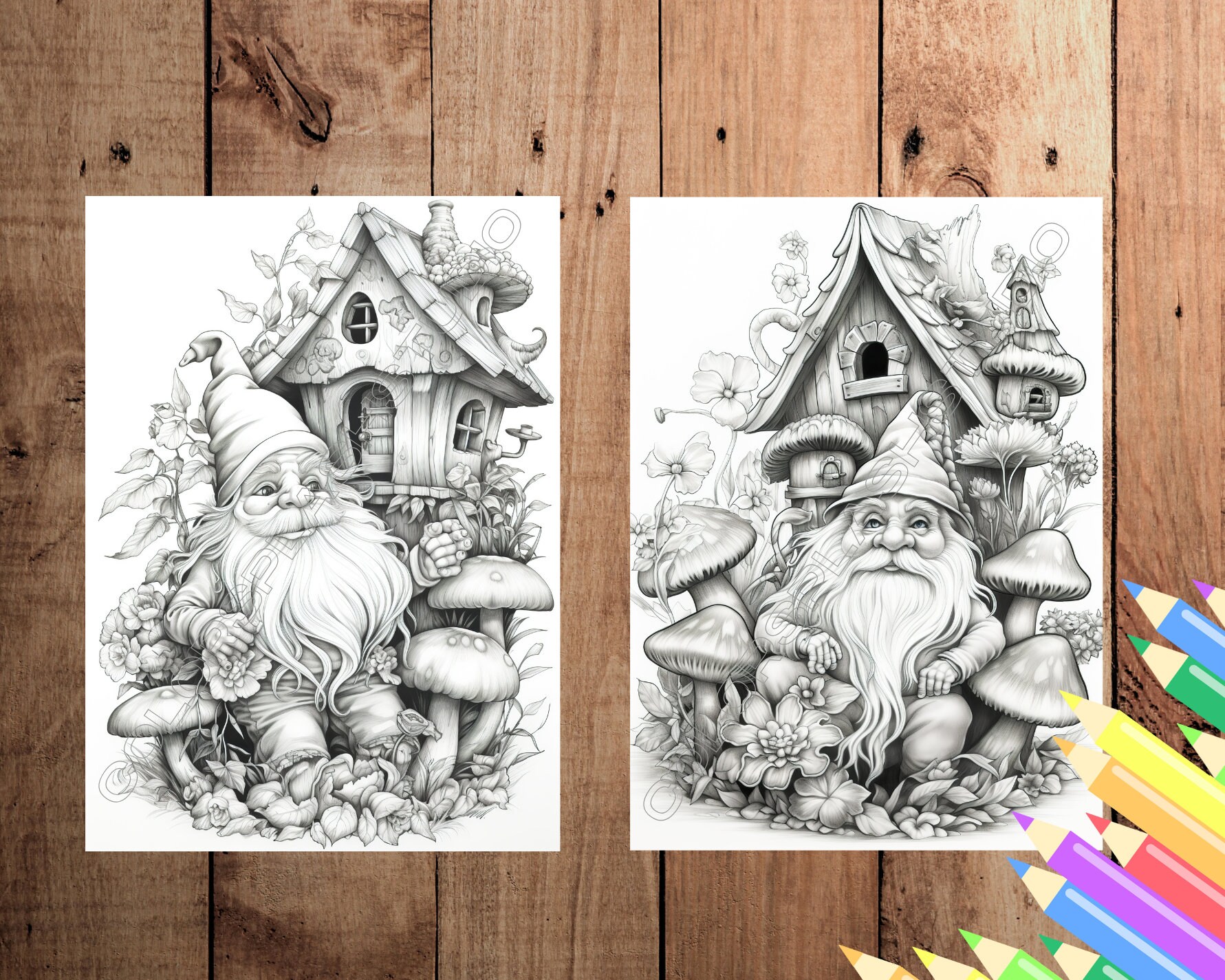 12 Gnome With Fairy Homes Coloring Pages Pt.3 Fantasy Coloring Pages ...