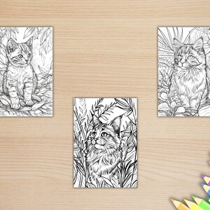 20 Beautiful Cats in the Wild Coloring Pages Made for Kids and Adults ...