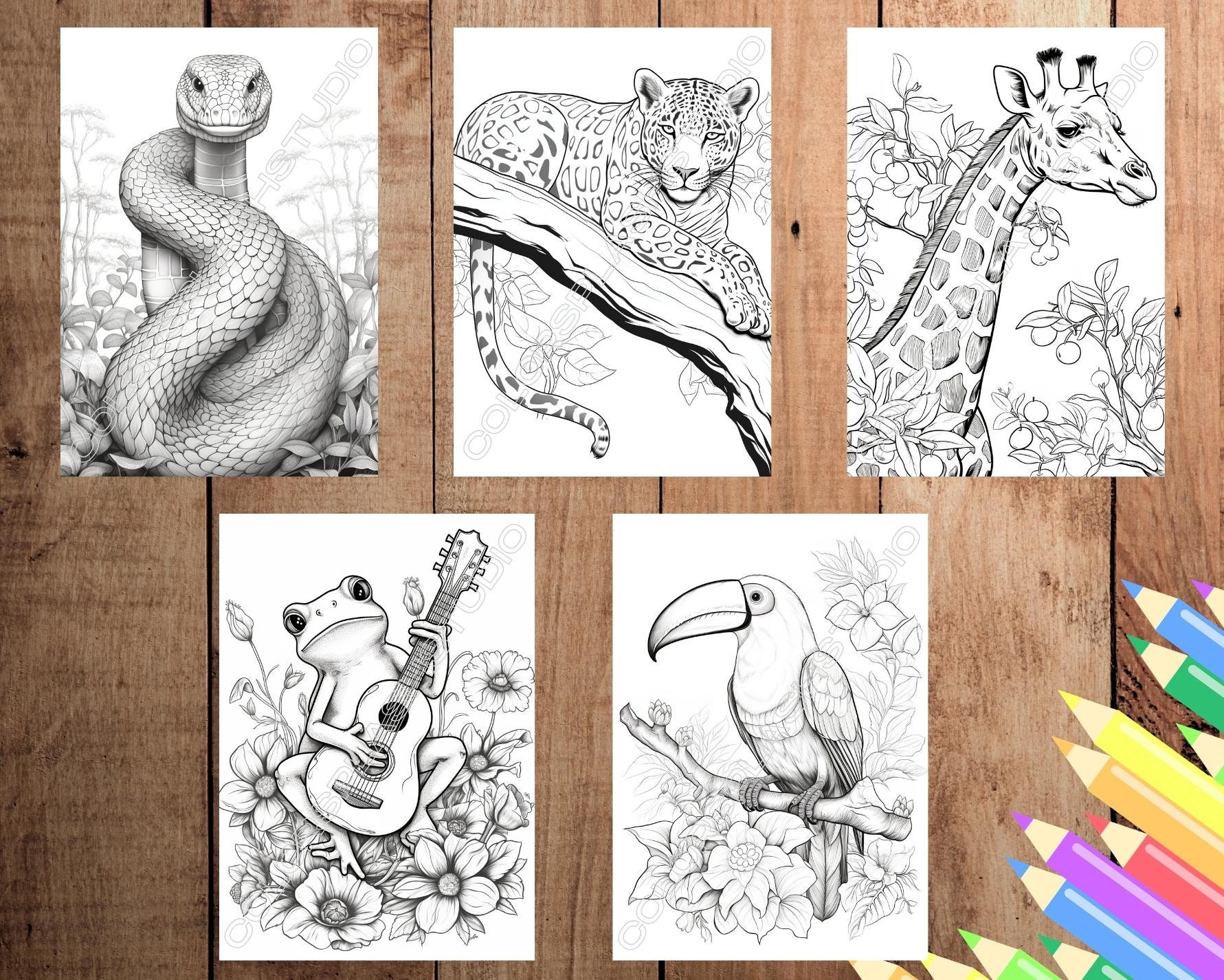 22 Animal Kingdom Coloring Pages - Adult Kids Coloring Pages ...