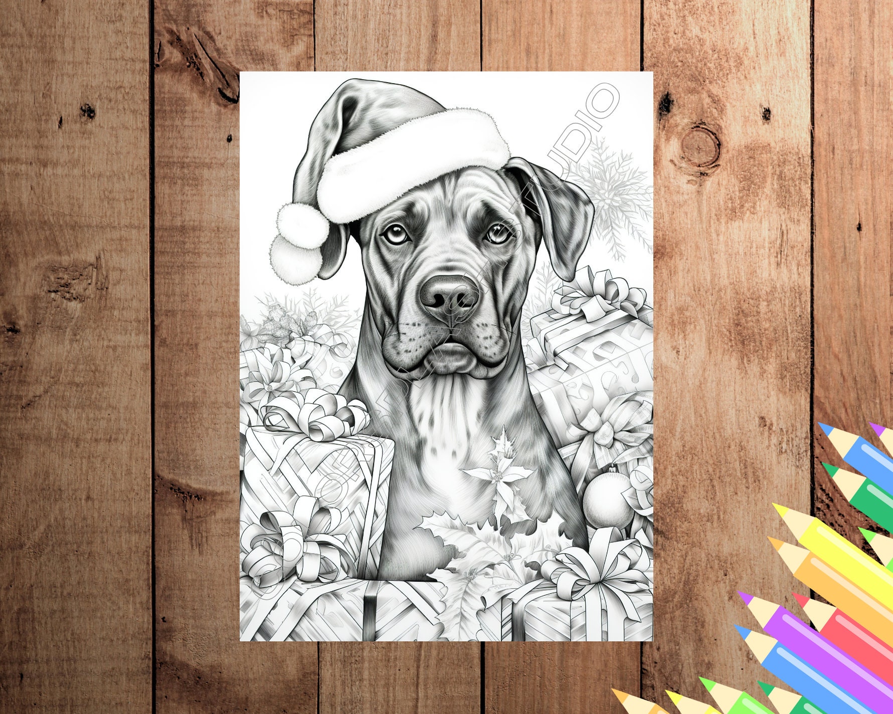 12 Cute Christmas Dogs Coloring Pages Set 01 Printable - Etsy