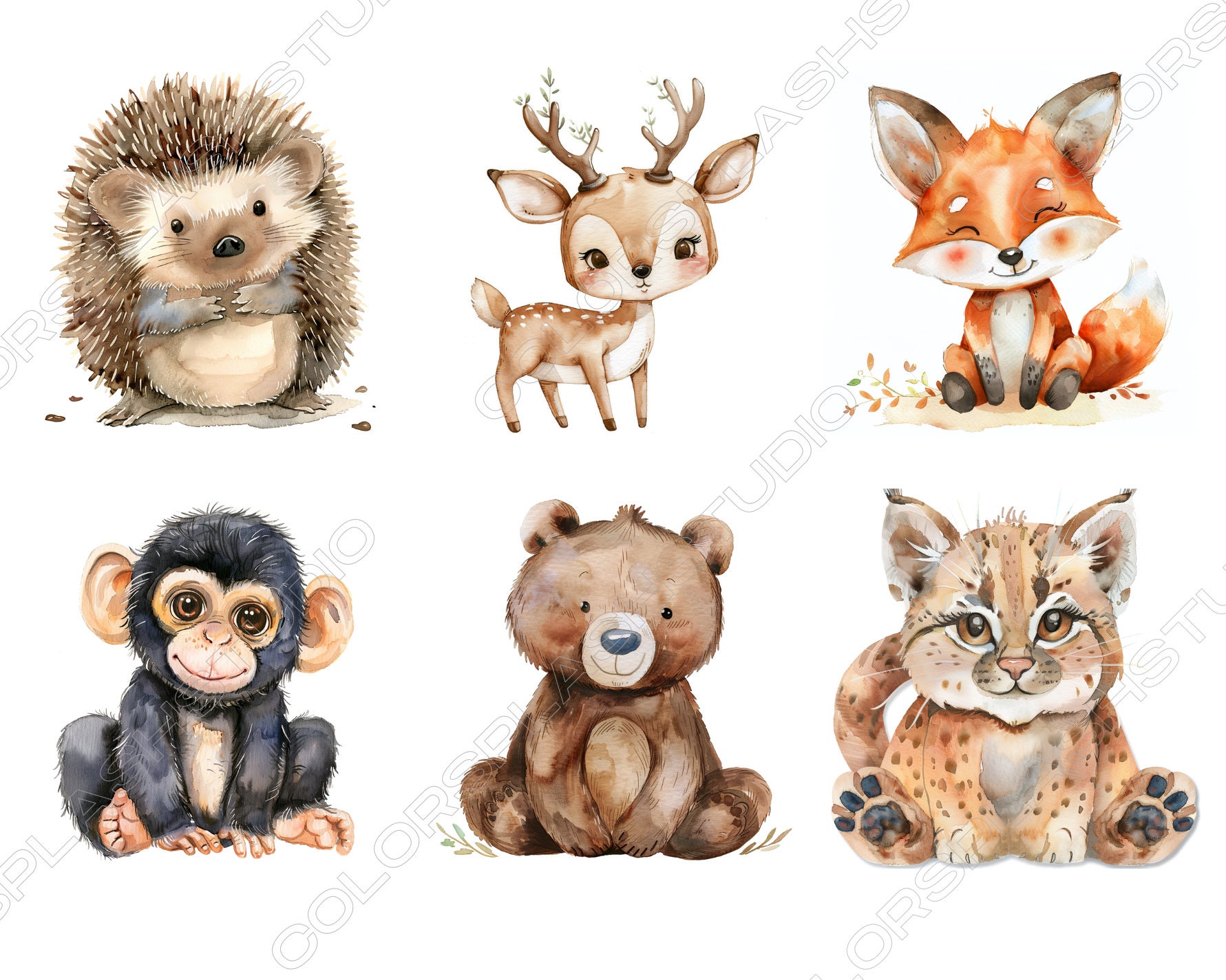 30 Forest Animal Clipart, Forest Themed Clipart, Berries, Trees, Animal ...