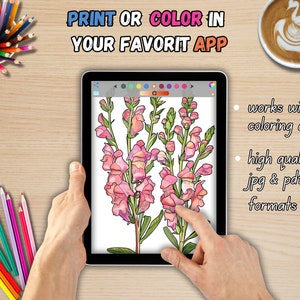 20 Beautiful Snapdragon Fower Coloring Pages Made for Kids and Adults ...