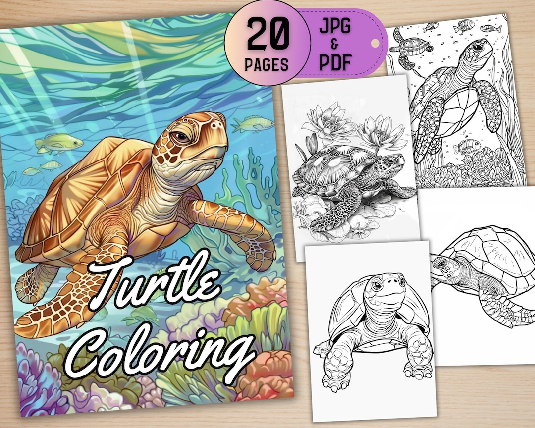 20 Cute Turtle Coloring Pages for Kids and Adult, Made for Print and ...