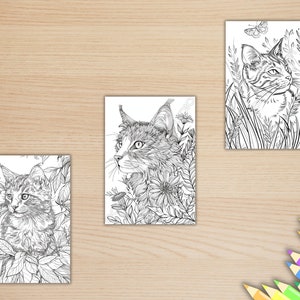 20 Beautiful Cats in the Wild Coloring Pages Made for Kids and Adults ...