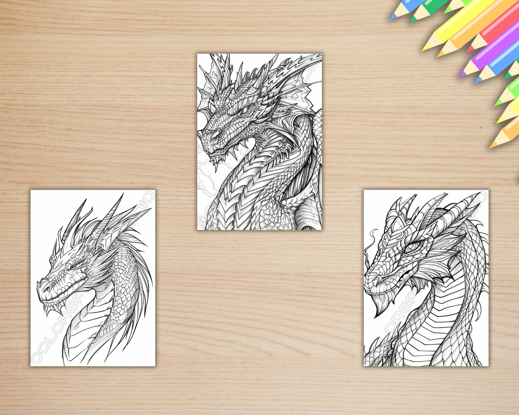 20 Fantasy Dragons Portrait Coloring Pages for Kids and Adults, Fantasy ...