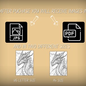 20 Fantasy Dragons Portrait Coloring Pages for Kids and Adults, Fantasy ...