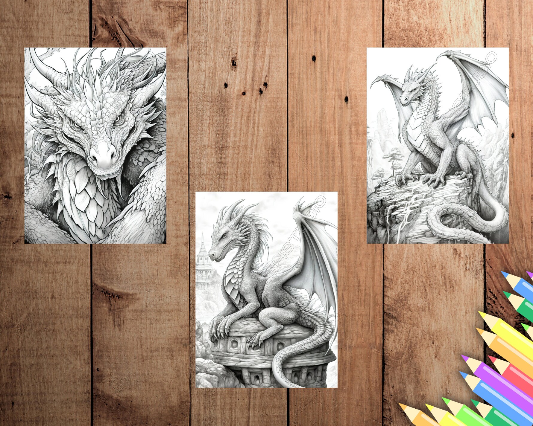 40 Realistic Dragons Coloring Pages Set Pt.4 Adult Kids Coloring Pages ...