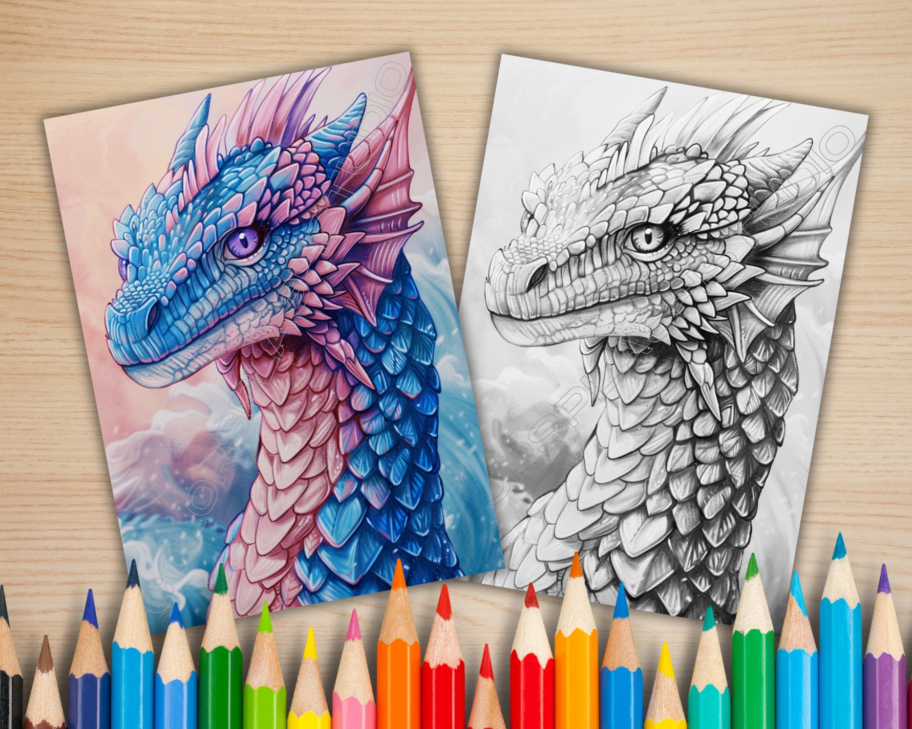 20 Fantasy Dragons Portrait Coloring Pages for Kids and Adults, Fantasy ...