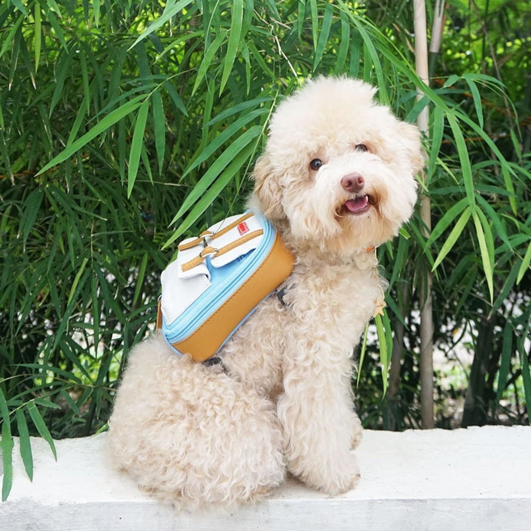 Ruffsack Handmade Dog Backpack With Harness – Dale in Light Blue - Etsy