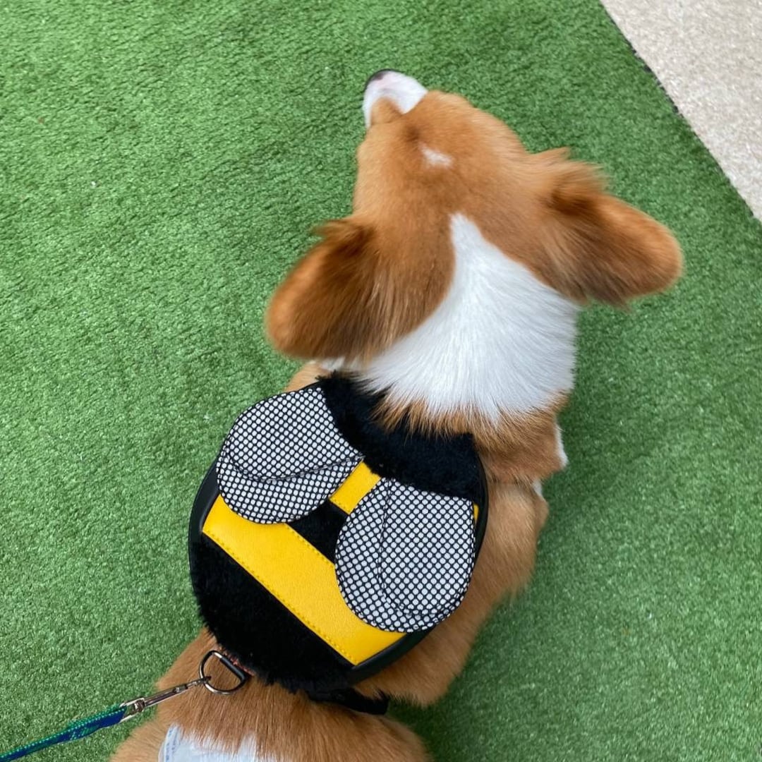 Ruffsack Handmade Dog Backpack With Harness – Bumble - Etsy