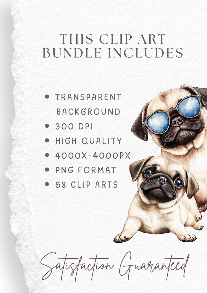 Cute Pug Breed Dog Clipart Bundle PNG Pug Puppy Lover Illustration Clip ...