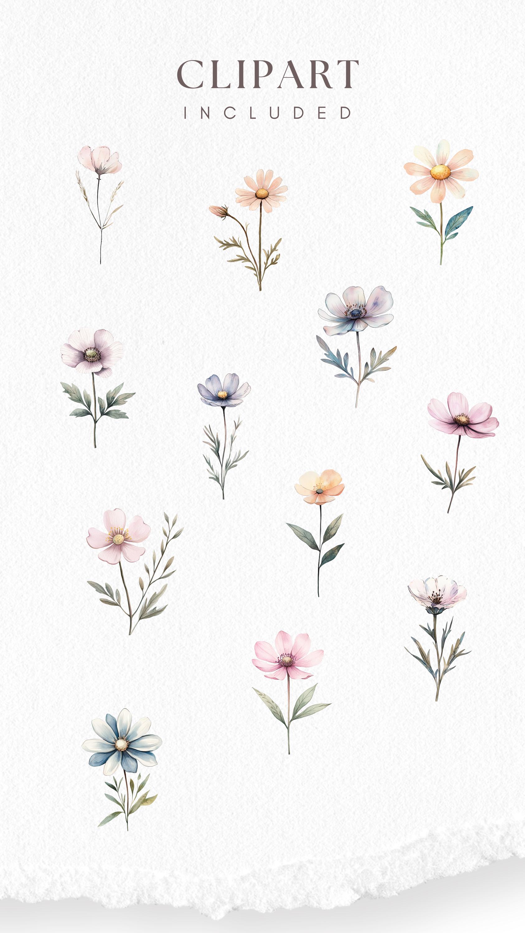 Watercolor Wildflower Clipart: Pastel Floral Borders, PNG Frames ...