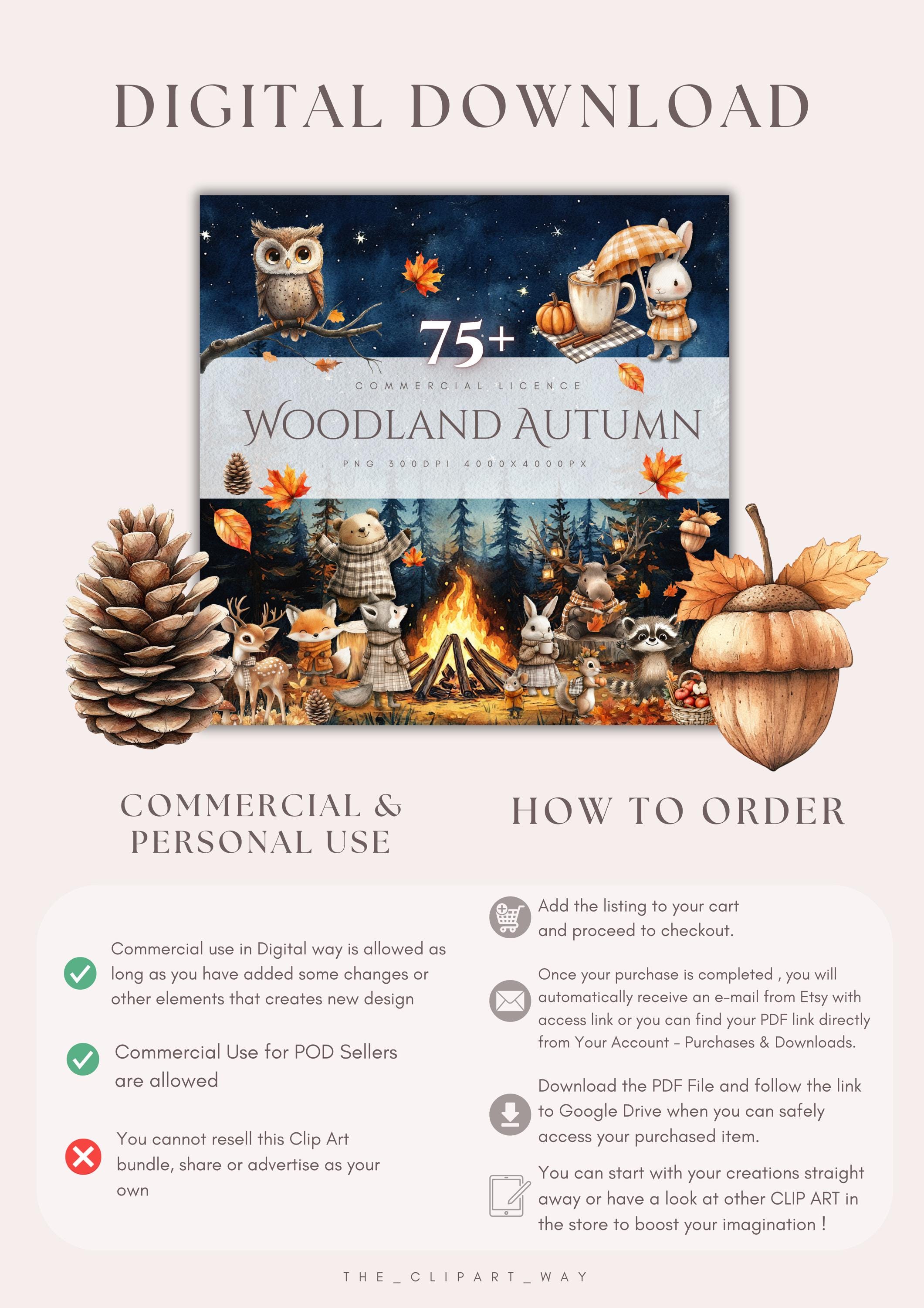 Watercolor Fall Animals Woodland Autumn Clipart Bundle Forest PNG ...
