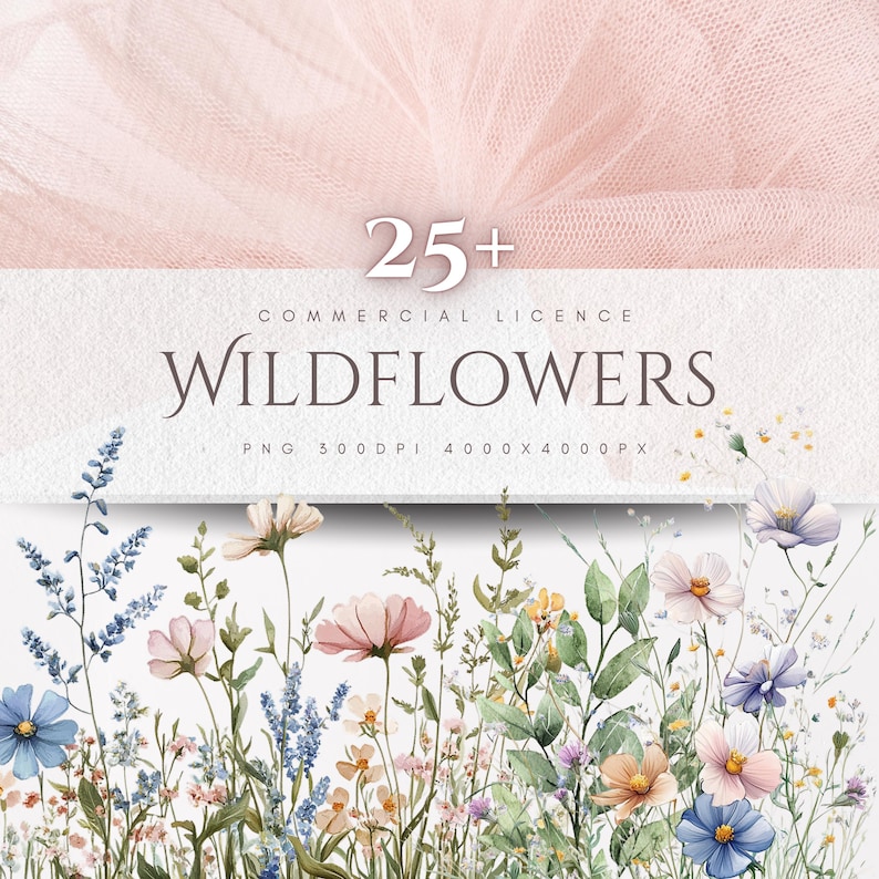Watercolor Wildflower Clipart: Pastel Floral Borders, PNG Frames ...