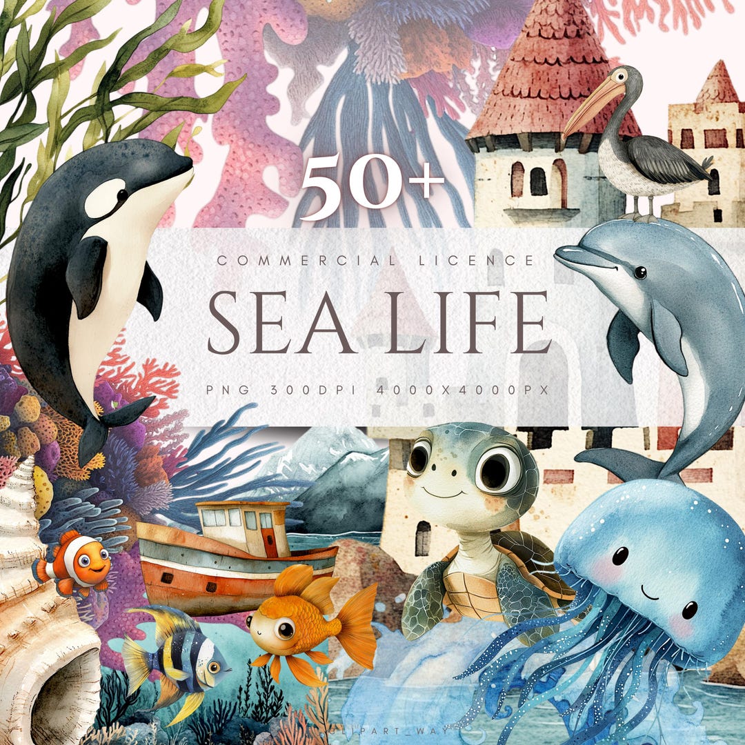 Watercolor Sea Life Clipart: Ocean Animals, Nautical Decor (PNG, 300DPI ...