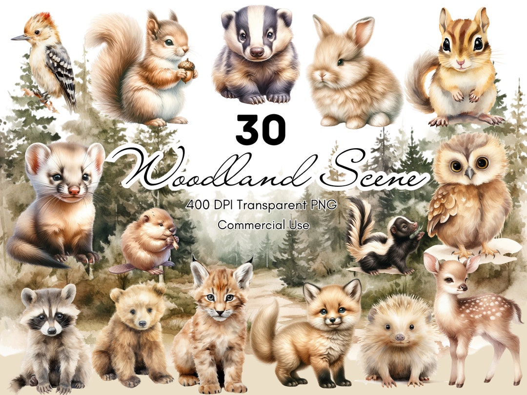 Woodland Animals Watercolor Clipart, Nursery Clipart, Digital Sticker ...