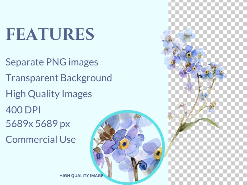 Watercolor Wild Flower Clipart, Botanical Flowers, Floral Clip Art Set ...