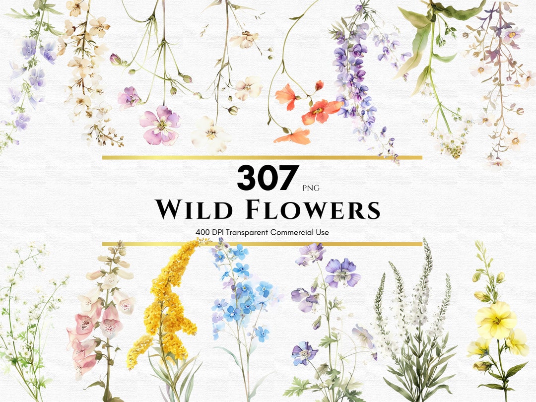Watercolor Wild Flower Clipart, Botanical Flowers, Floral Clip Art Set ...