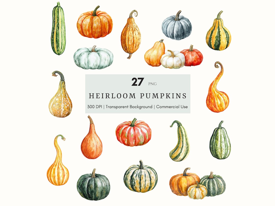 Pumpkin Autumn Clipart, Watercolor Gourds, Autumn Harvest Pumpkins PNG ...