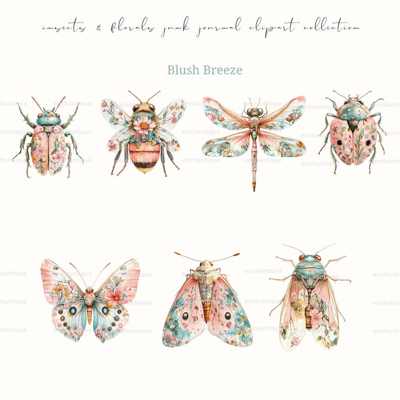 Floral Insects Floral Beetles Folk Art Florals Dragonfly PNG Butterfly ...