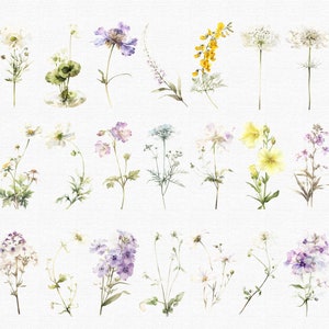 Watercolor Wild Flower Clipart, Botanical Flowers, Floral Clip Art Set ...