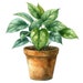 Watercolor House Plant, Foliage, Monstera Leaf, Potted Plant, Cactus ...