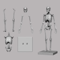 Flexi Skeleton Charm – Printable STL Keychain | Print-in-place, No ...