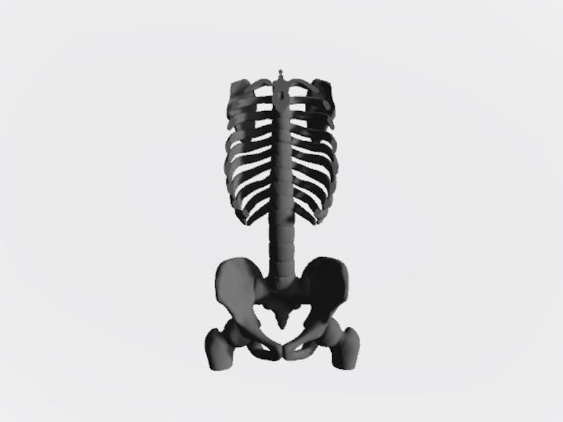 Skeleton Stl 3D Print File - Etsy