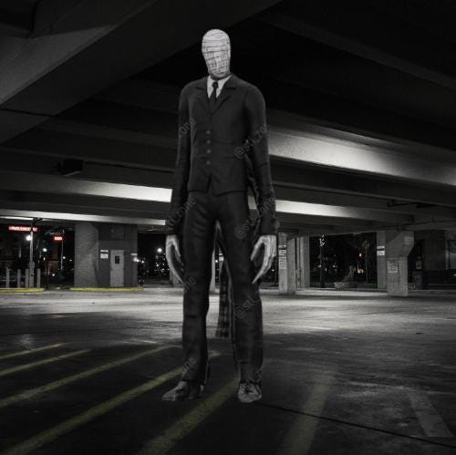 Slender Woman Costume