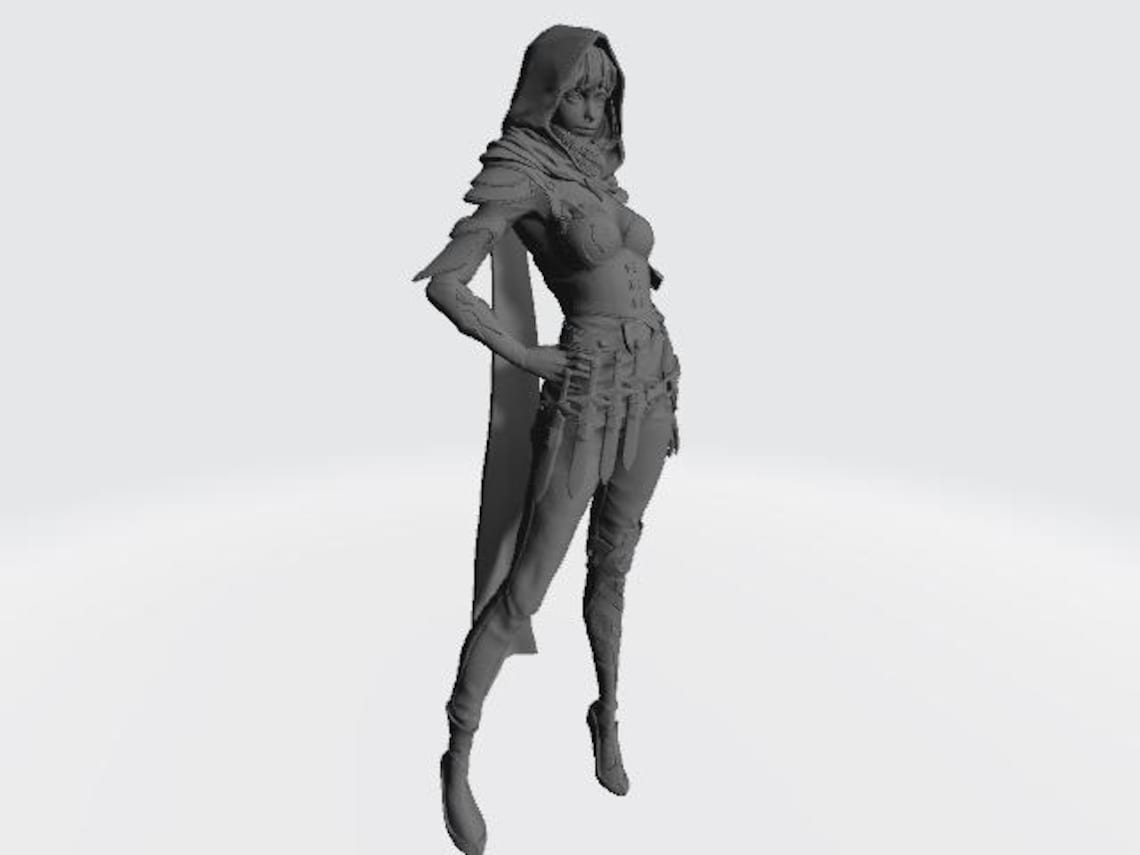 Assassin Girl STL File: 3D Print Model - Etsy