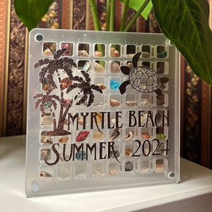 Sea Shell Display - Etsy