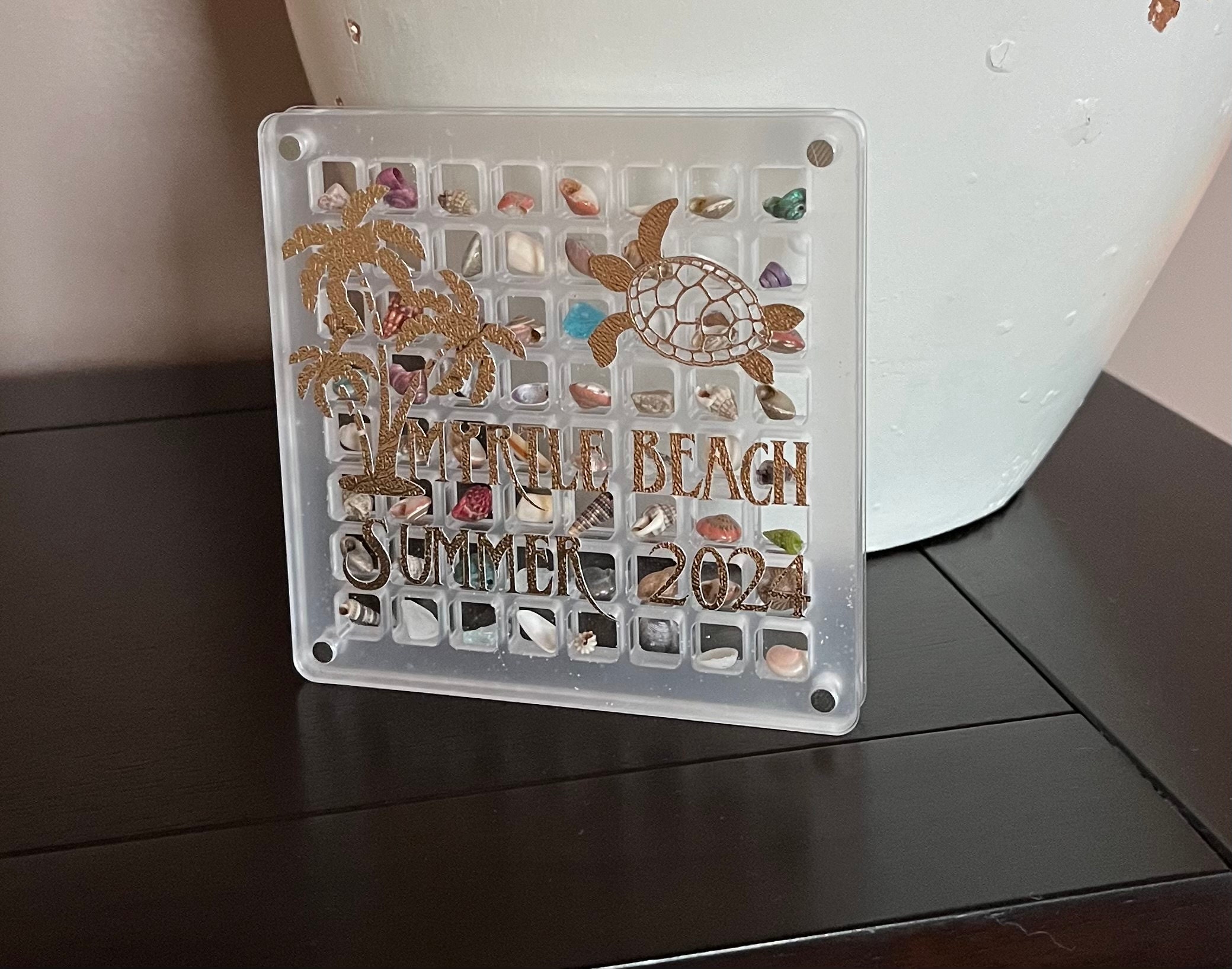 64 Grids Shell Display Case, Organizer - Etsy