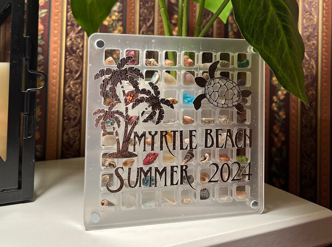 64 Grids Shell Display Case, Organizer - Etsy