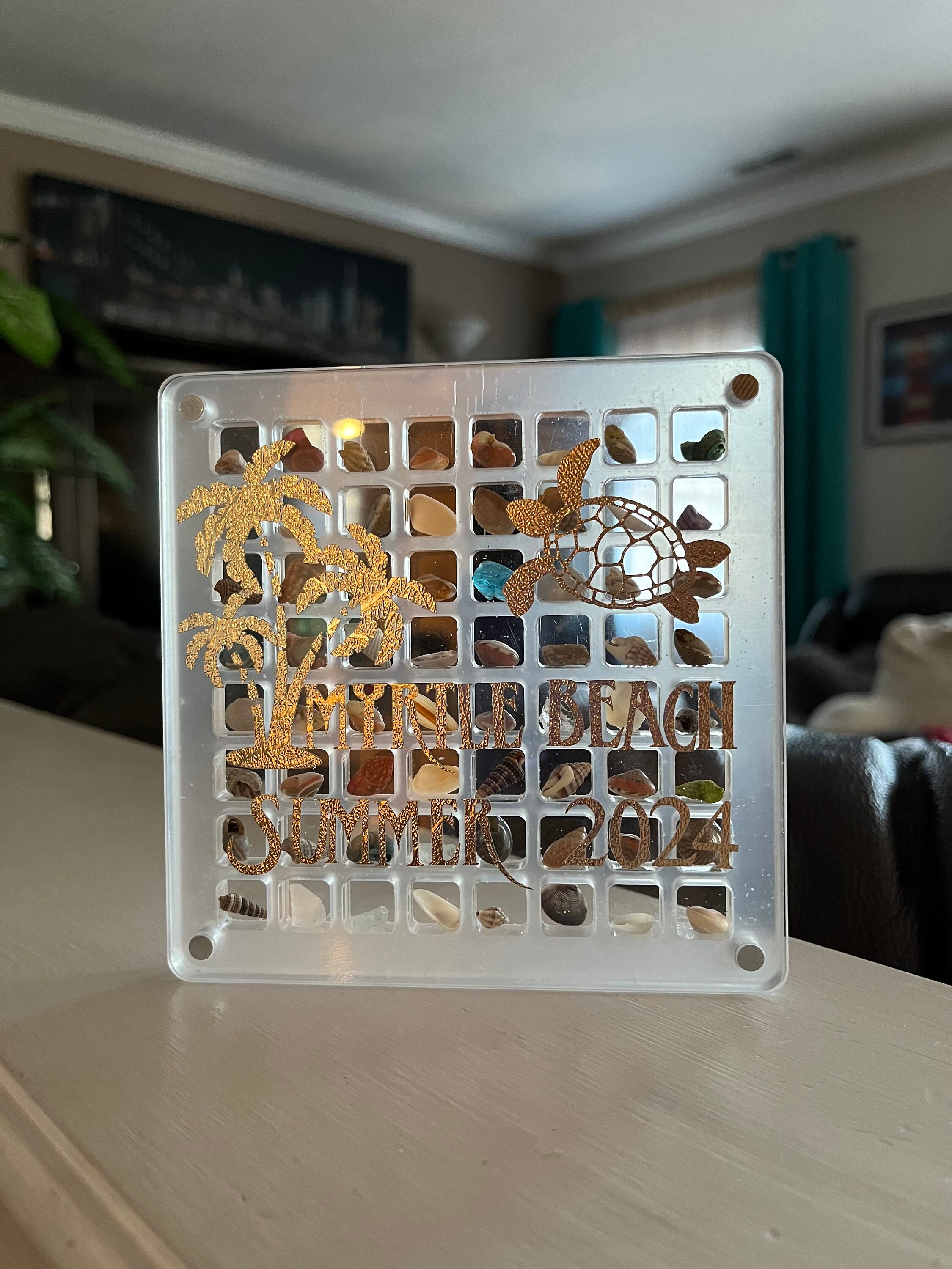 64 Grids Shell Display Case, Organizer - Etsy