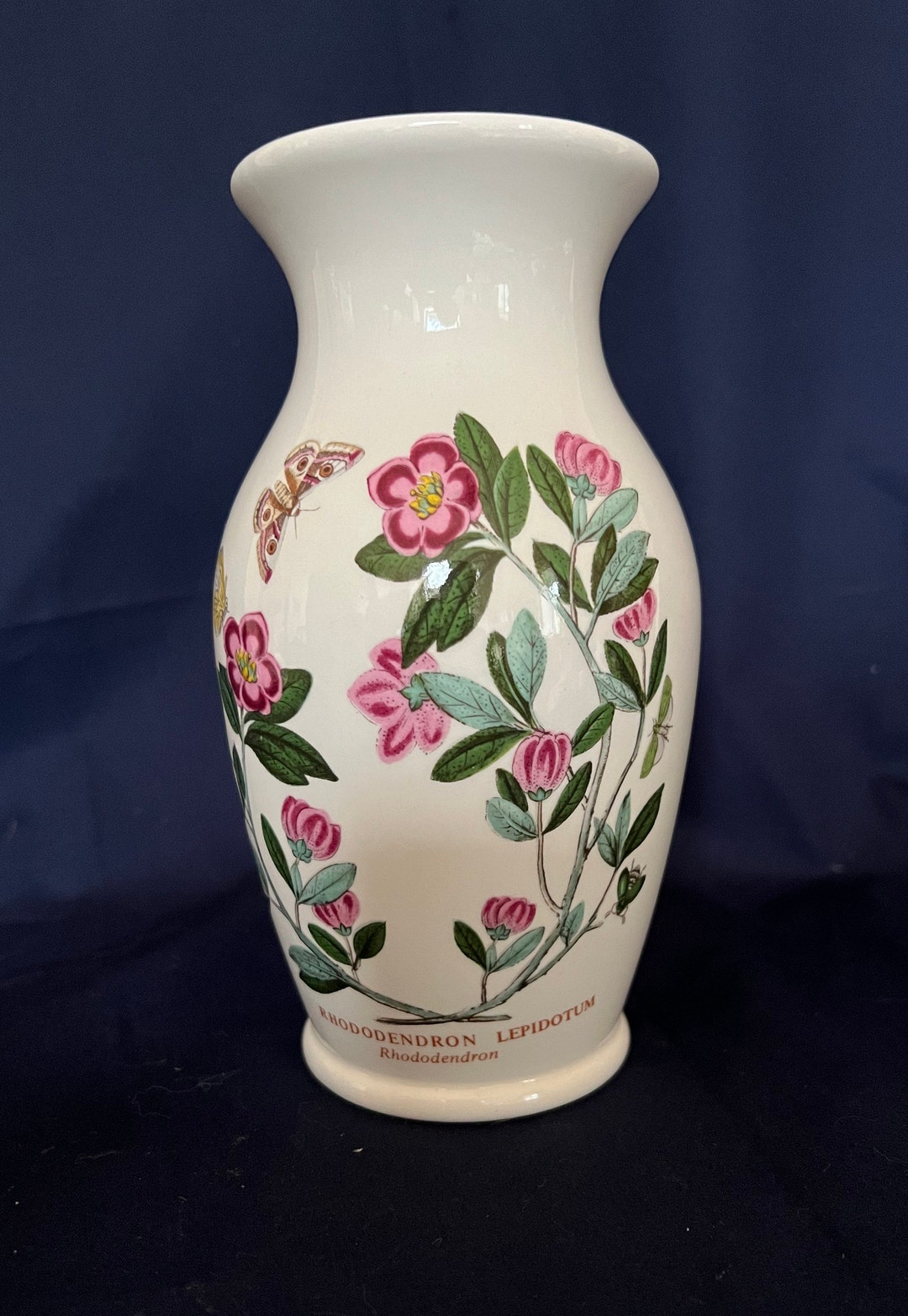 PORTMEIRION VASE 13cm. Botanic Garden Range. Highly Collectible and ...