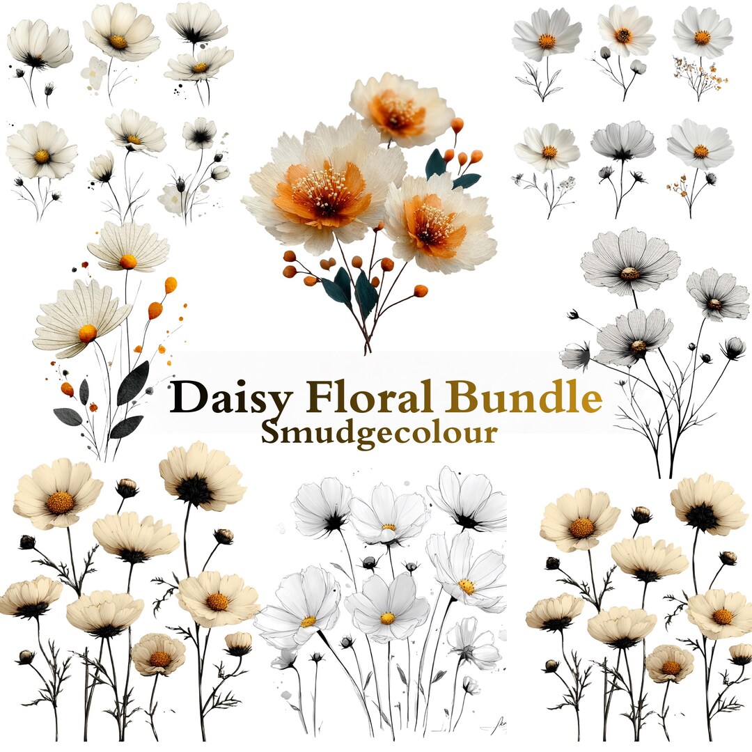 Daisy Clipart | Watercolor Summer Flower Bouquets (instant Download) - Etsy