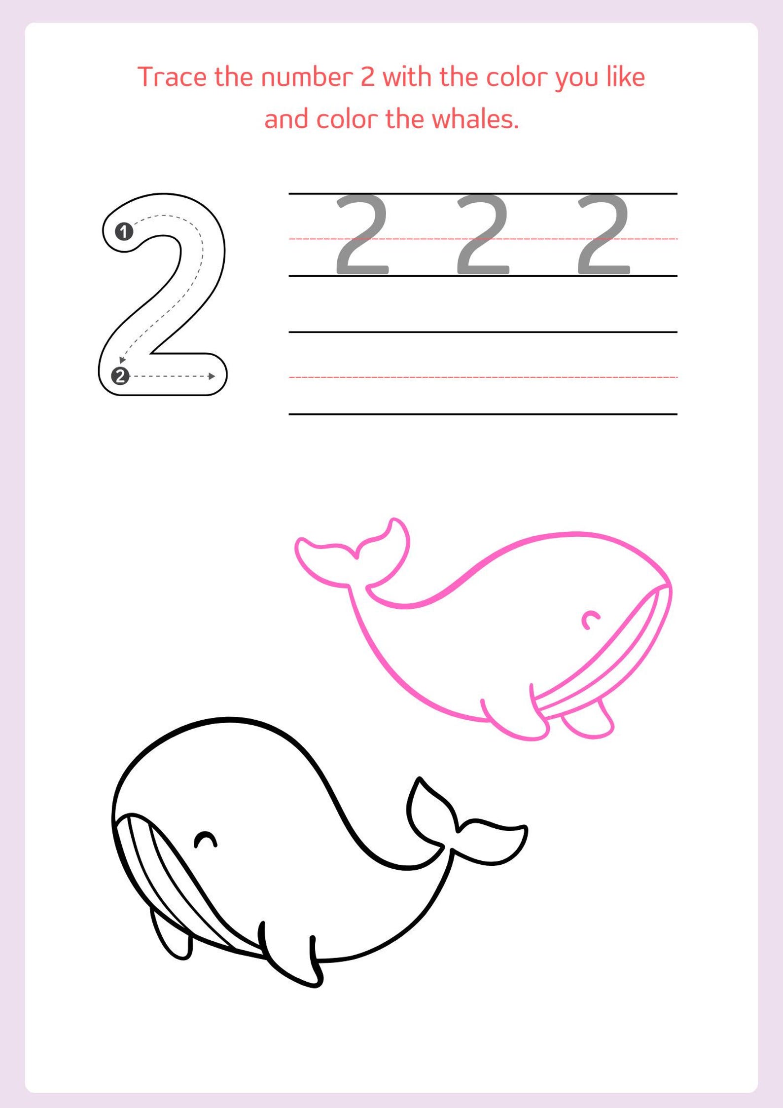 Animal Number Tracing Coloring Book: Preschool Learning (printable PDF ...