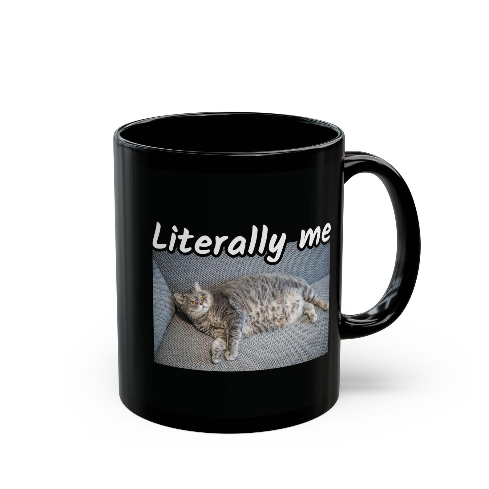 Fat Cat Mug, Literally Me Mug, Cat Meme Mug, Cat Owner Gift Mug, Funny ...