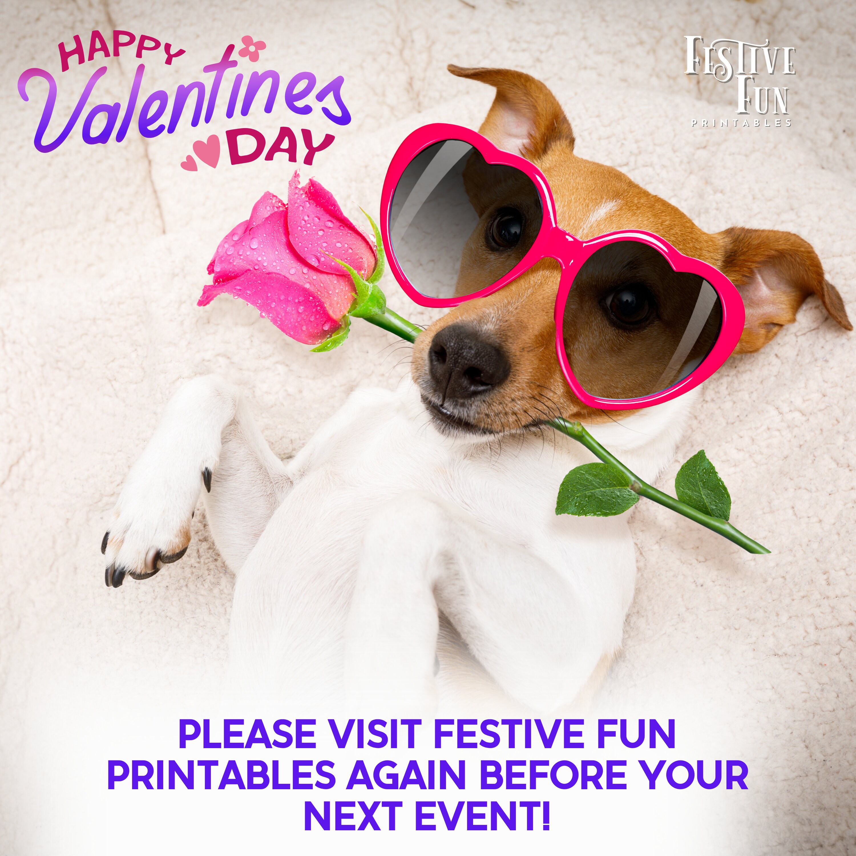Find Someone Who Valentine's Day Bingo, Mix and Mingle Human Bingo ...