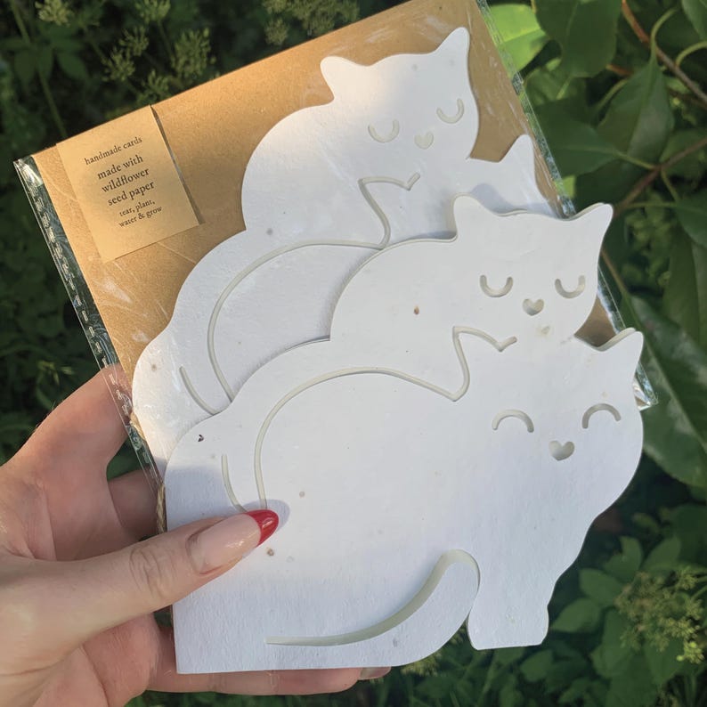 Cut-out Cat Greetings Card | Plantable Seed Paper or Kraft Card | White ...