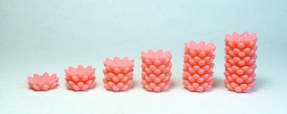 Nectar Tokens for Wingspan: Oceania - Etsy