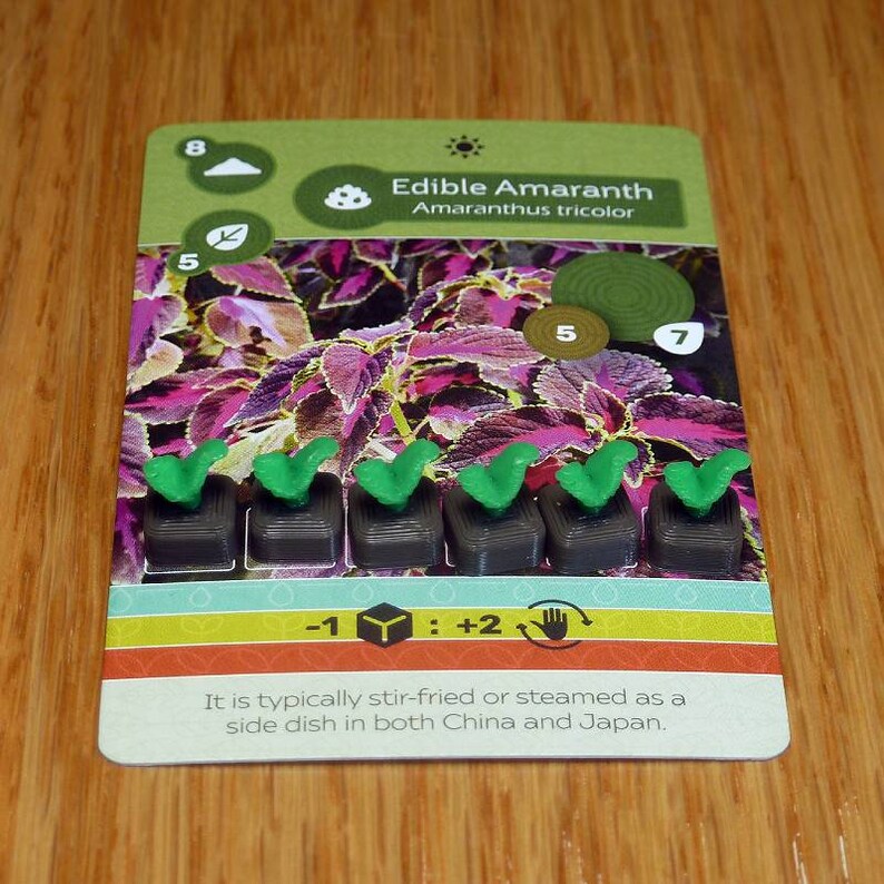 Earth Sprout Tokens Upgrade - Etsy