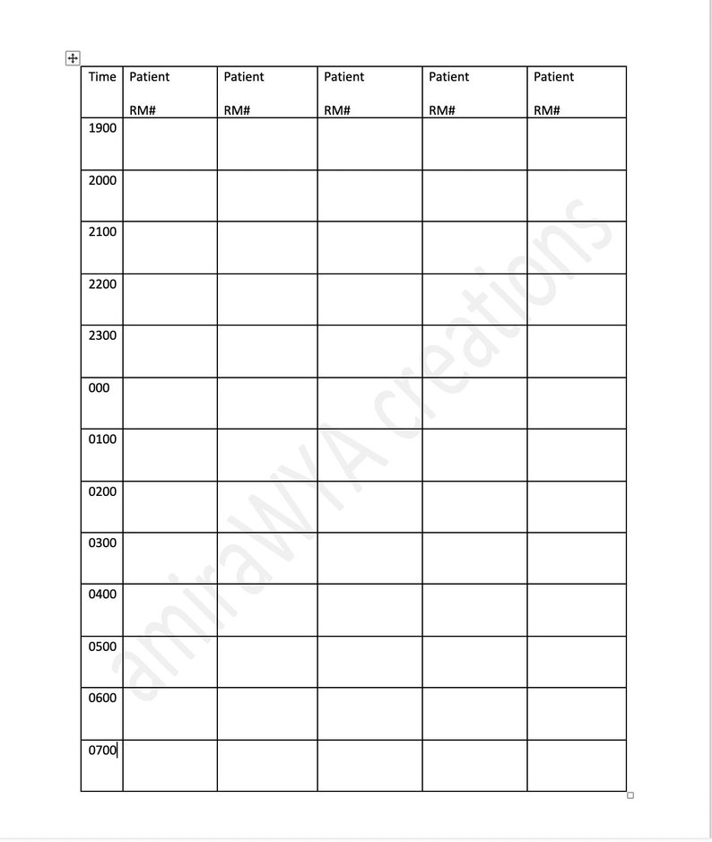 Hourly Nurse Report Medication SBAR - 6 Printable Editable Template - Etsy