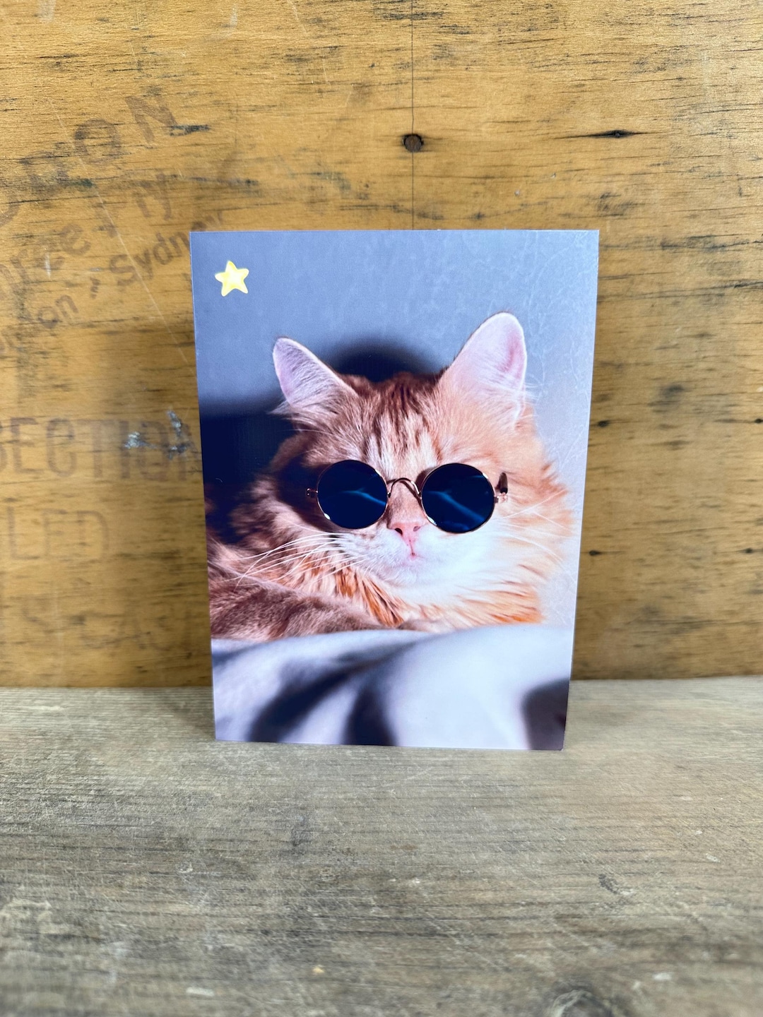 Cool Cat Card - Instant Download - Printable Birthday Greeting for ...