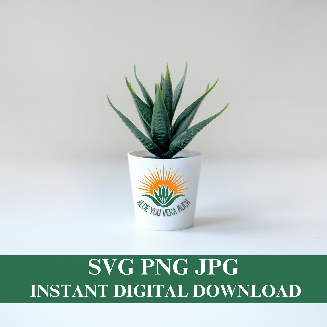 Plant Quotes SVG, Plant Lover Svg, Aloe Plant Svg, Plant Parent Svg ...