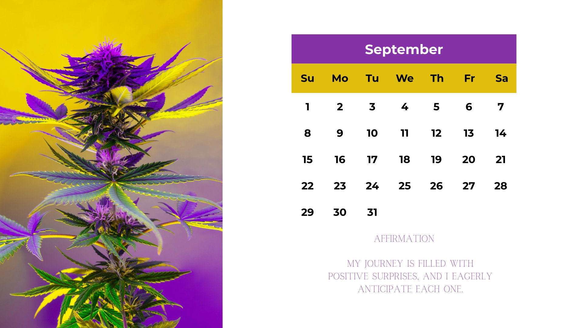 Printable Calendar 2024, Weed Printable Year-at-a-glance, Pot Leaf Svg ...