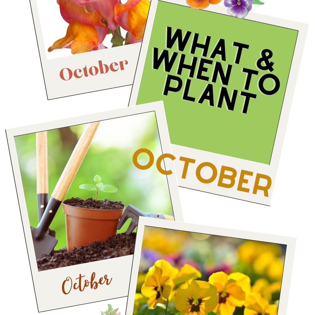 Gardening Tips October Gardening Guide PNG Digital Download Fall ...