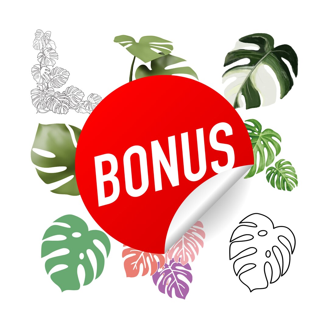 Plant Graphics SVG Files, Monstera SVG, Plant Quote Svg, Plant Lover ...