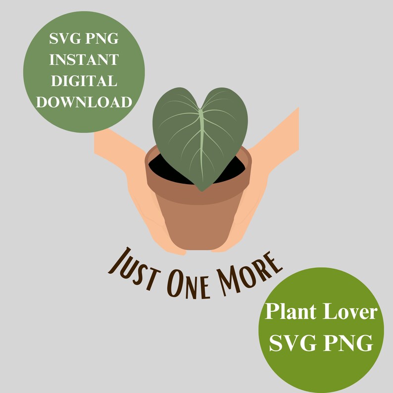 Plant Quotes SVG, Plant Lover Svg, Plant PNG, Plants SVG, Svg Bundle ...